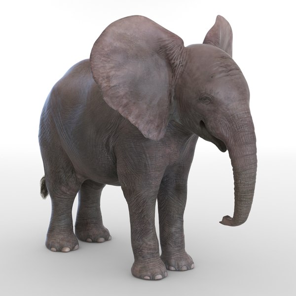 3d model baby elephant rigged