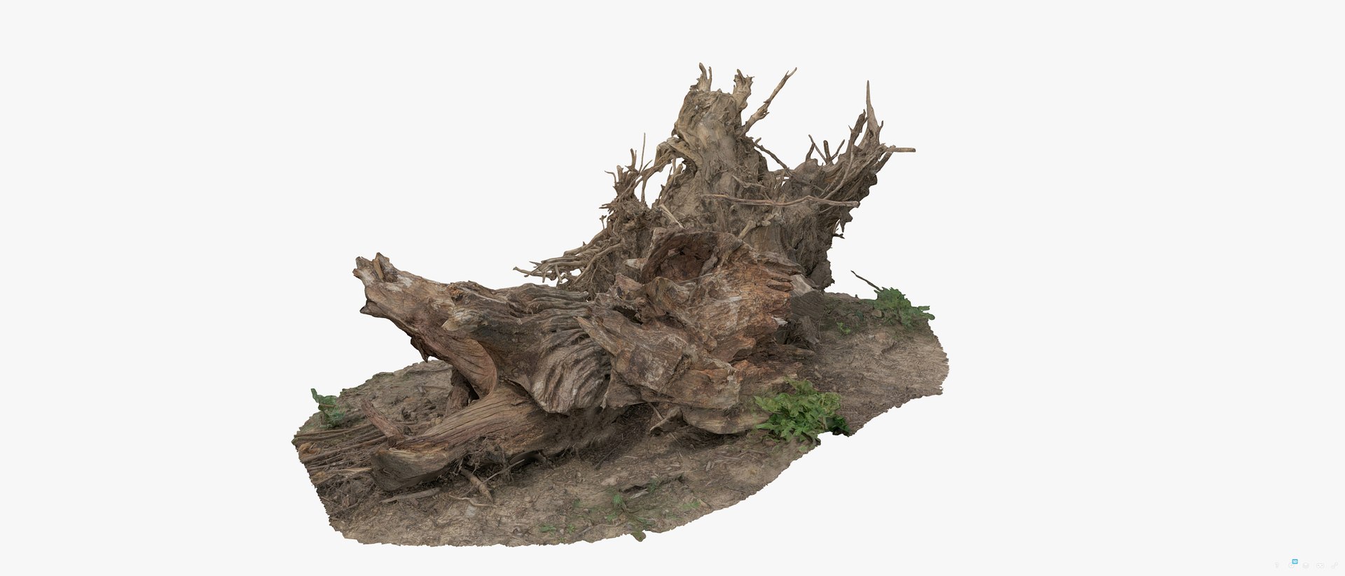 Tree Uprooted Dry Stump Roots 3D Model - TurboSquid 1945055