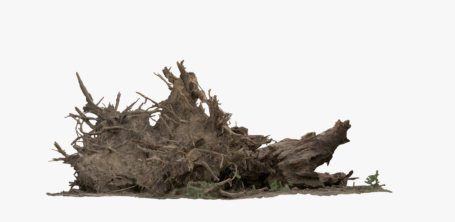 Tree Uprooted Dry Stump Roots 3D Model - TurboSquid 1945055