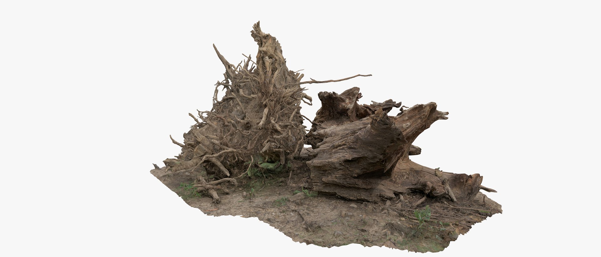 Tree Uprooted Dry Stump Roots 3D Model - TurboSquid 1945055