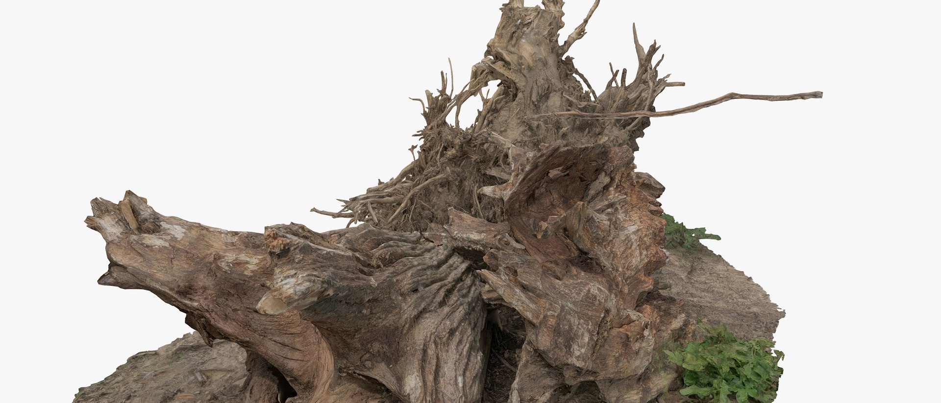 Tree Uprooted Dry Stump Roots 3D Model - TurboSquid 1945055
