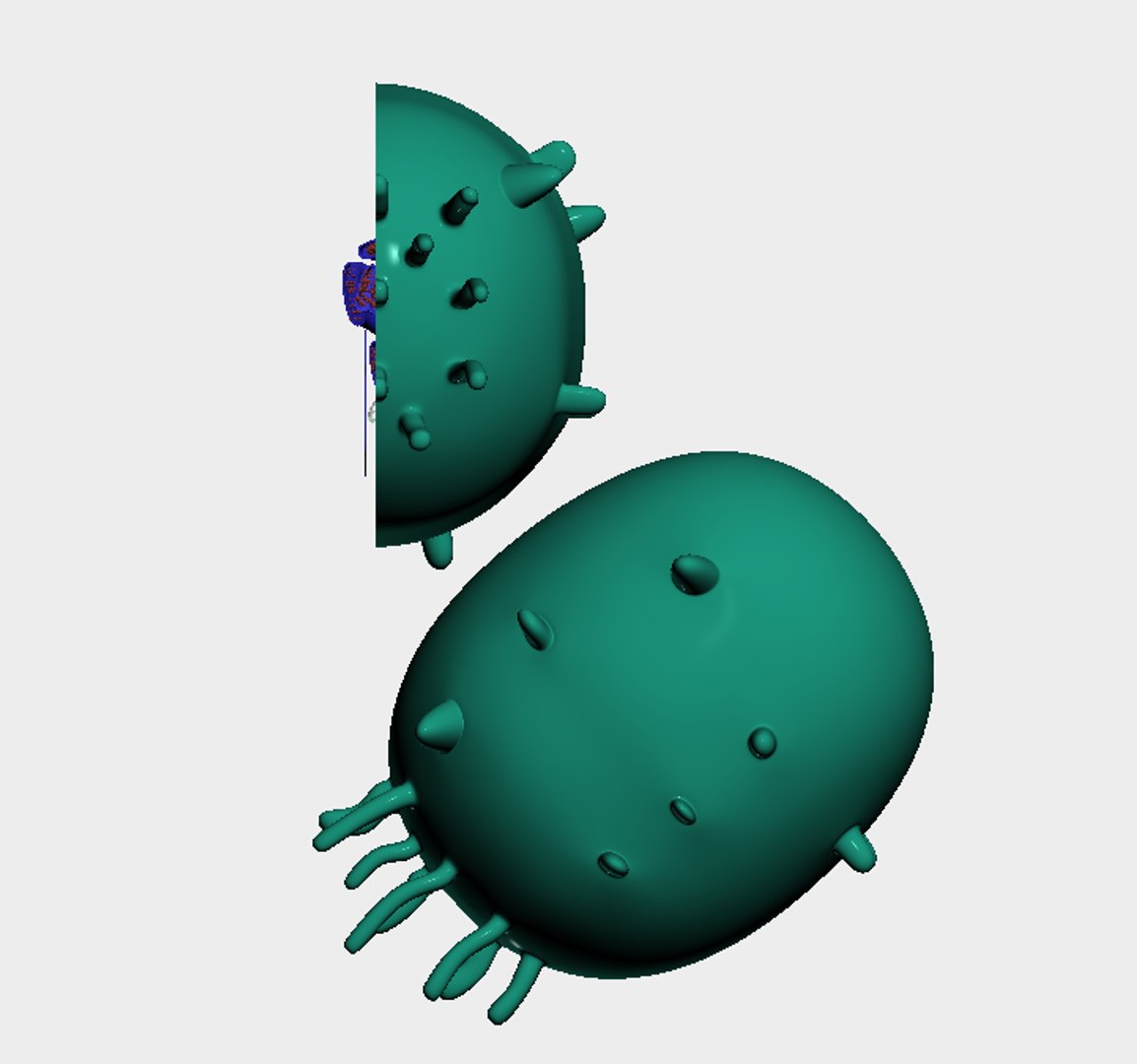 3D model animal cell - TurboSquid 1244021