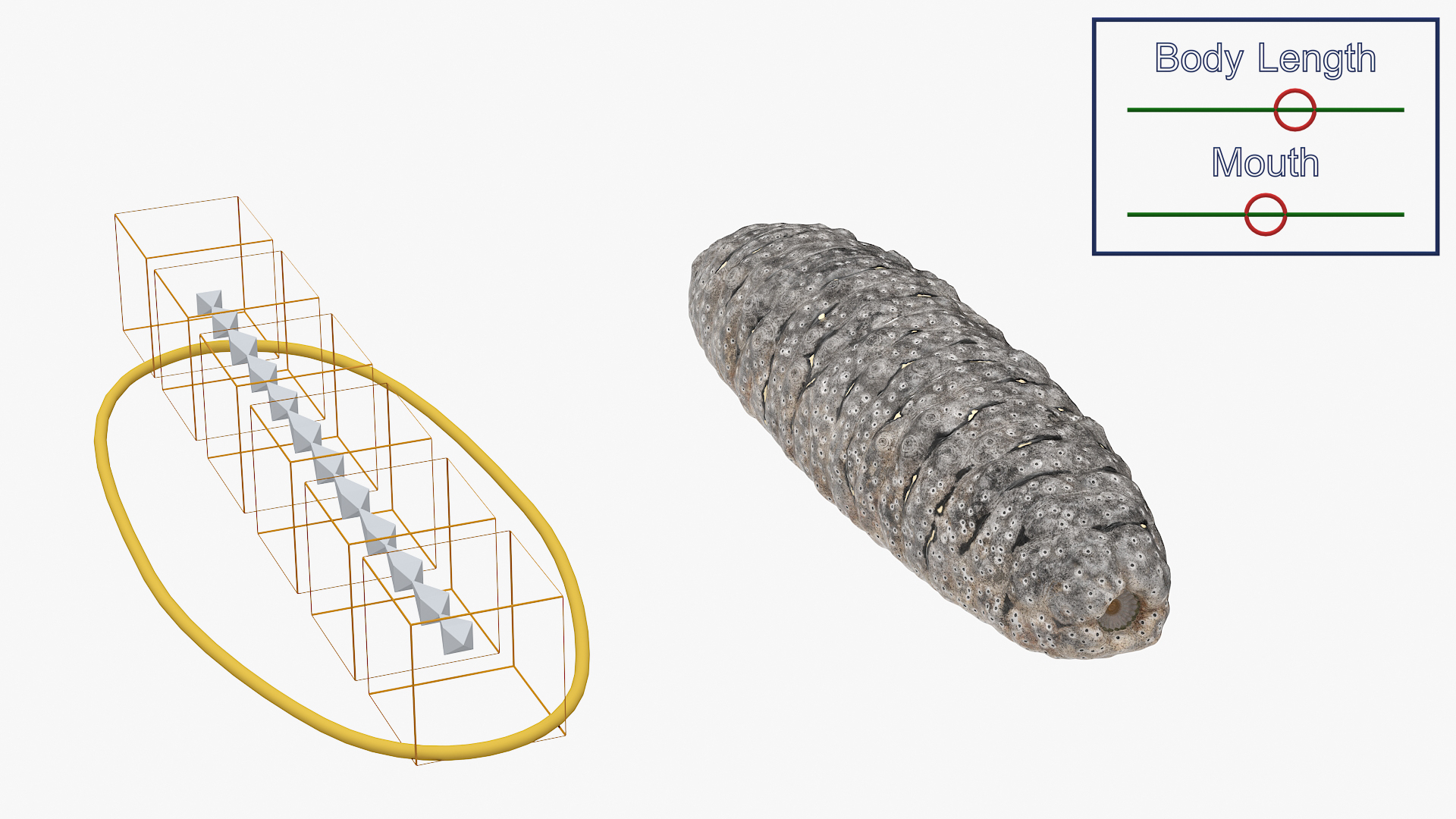 3D Trepang Gray Rigged Model - TurboSquid 2300072