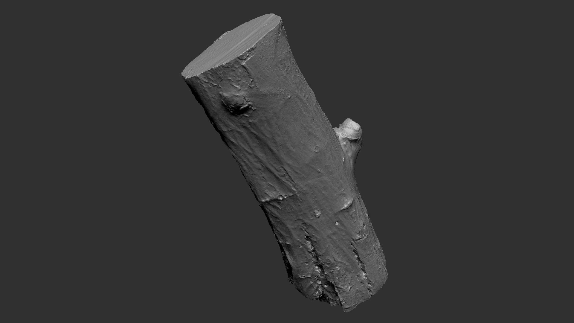3d Scan Tree Trunk In Highpoly Model - TurboSquid 2202202