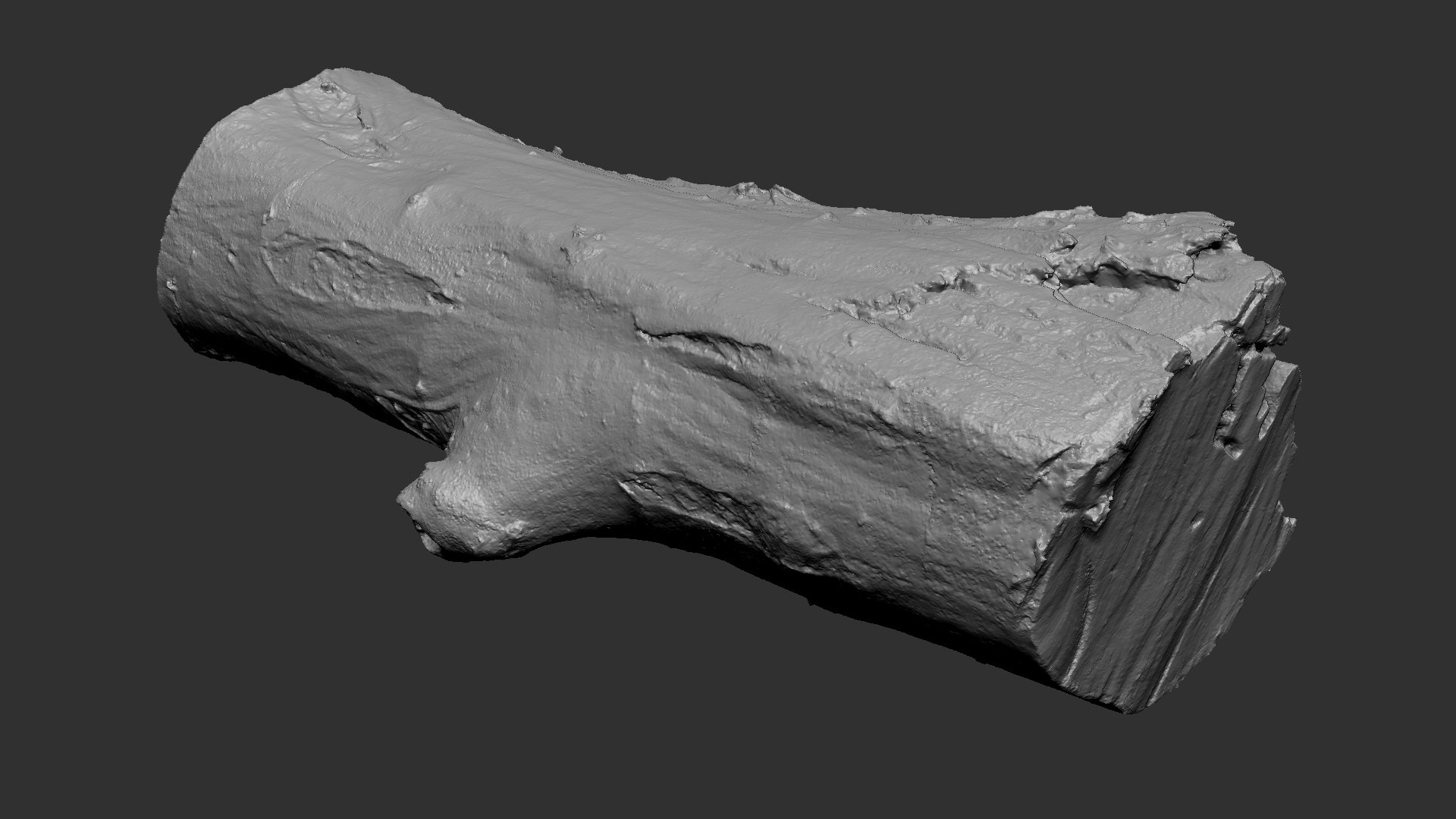 3d Scan Tree Trunk In Highpoly Model - TurboSquid 2202202