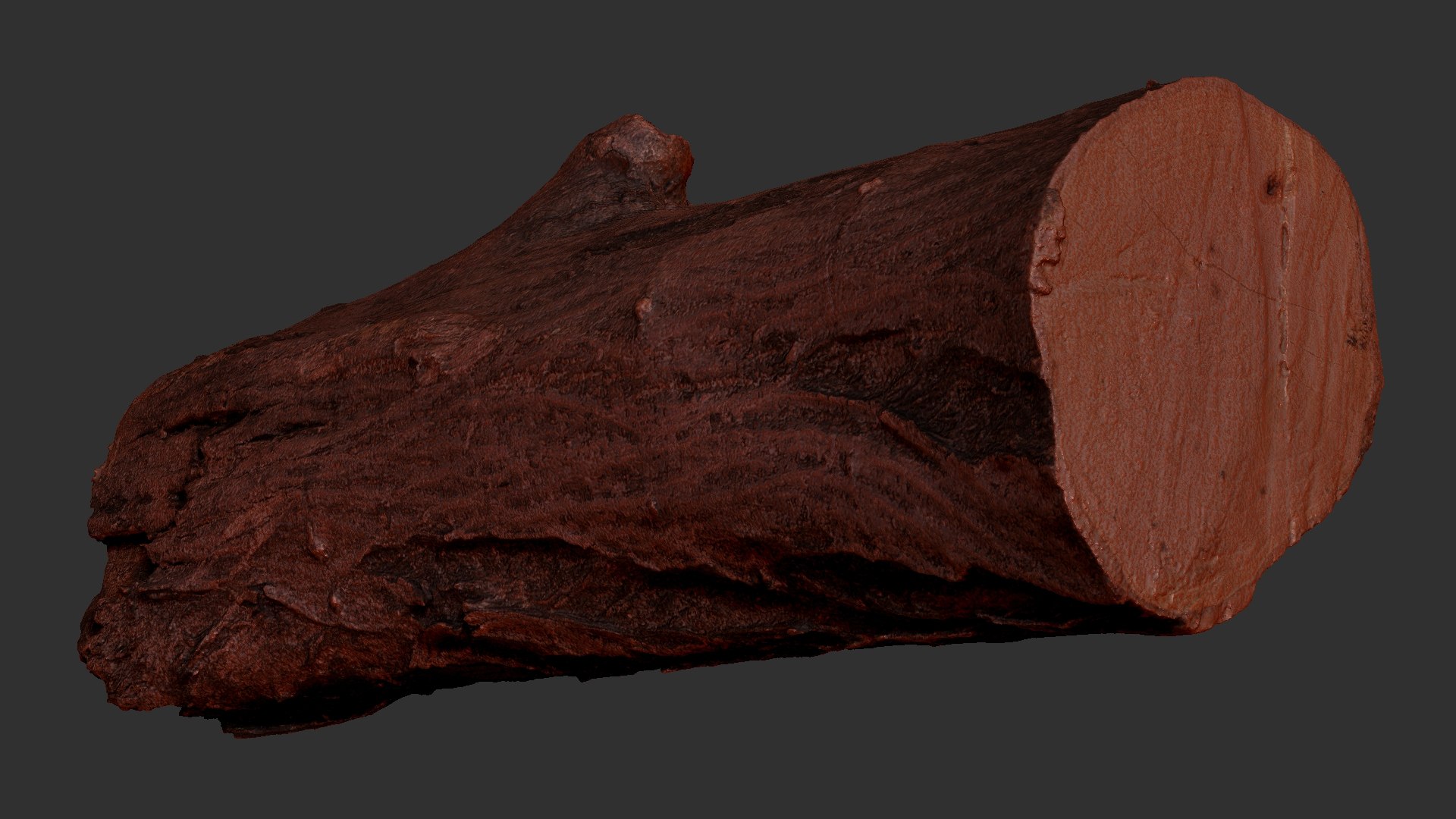 3d Scan Tree Trunk In Highpoly Model - TurboSquid 2202202