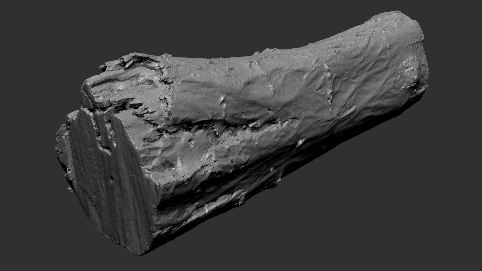 3d Scan Tree Trunk In Highpoly Model - TurboSquid 2202202