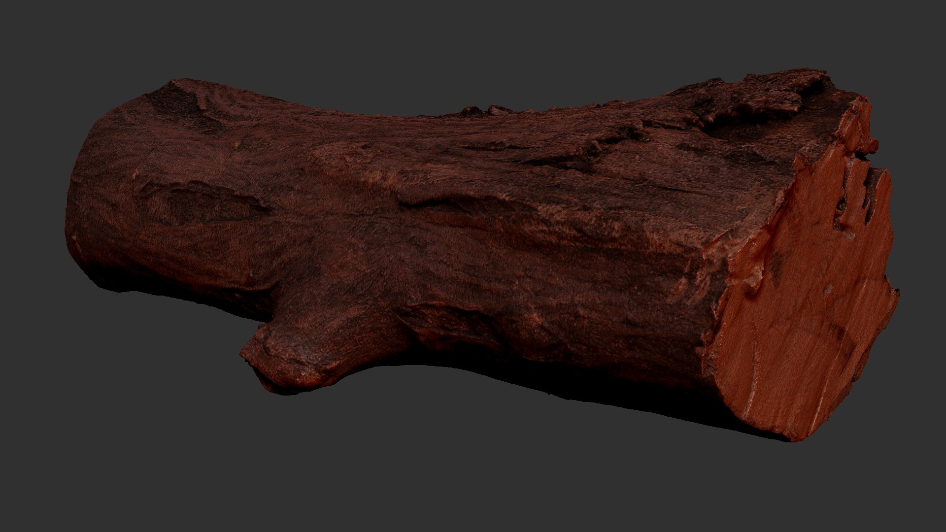 3d Scan Tree Trunk In Highpoly Model - TurboSquid 2202202