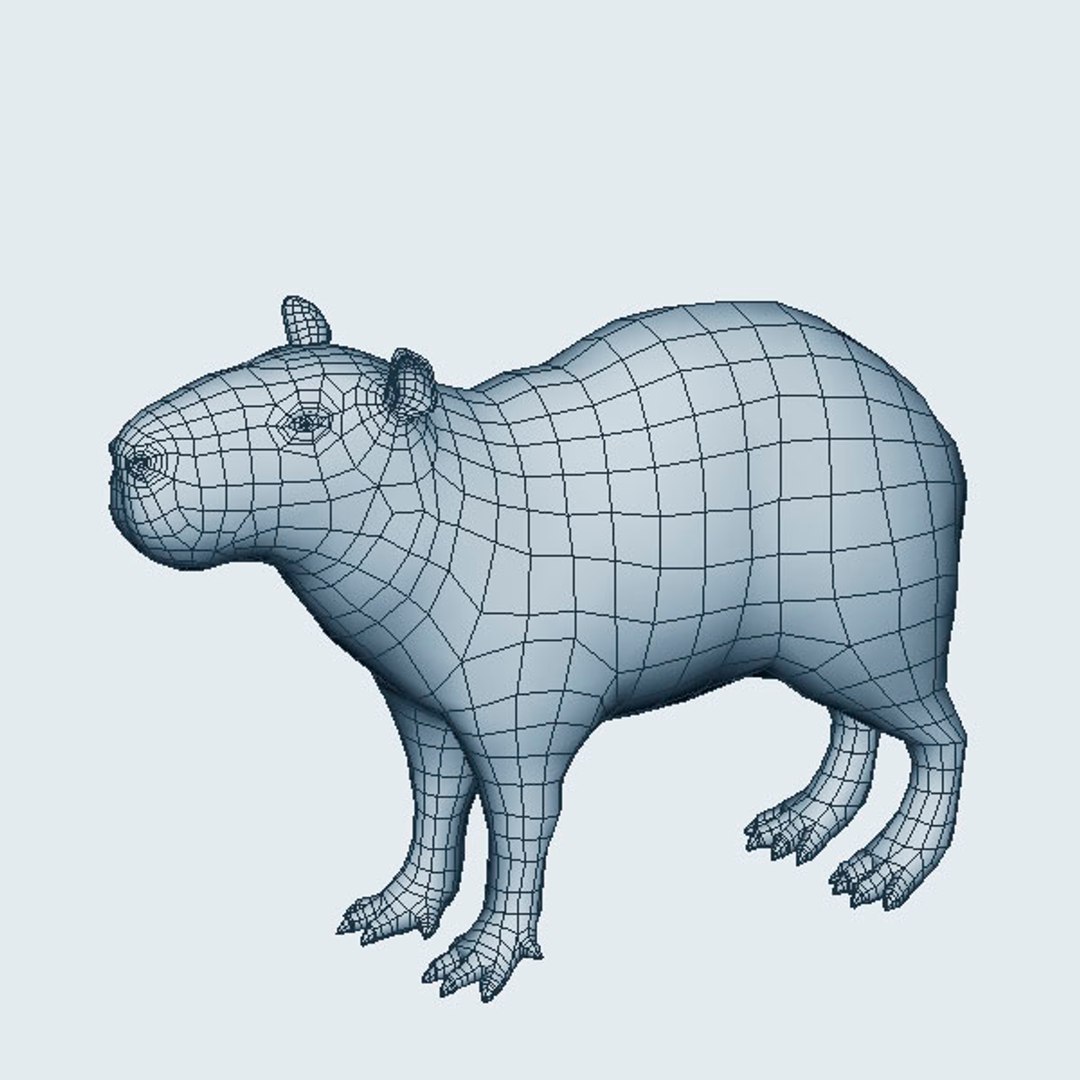 3d capibara