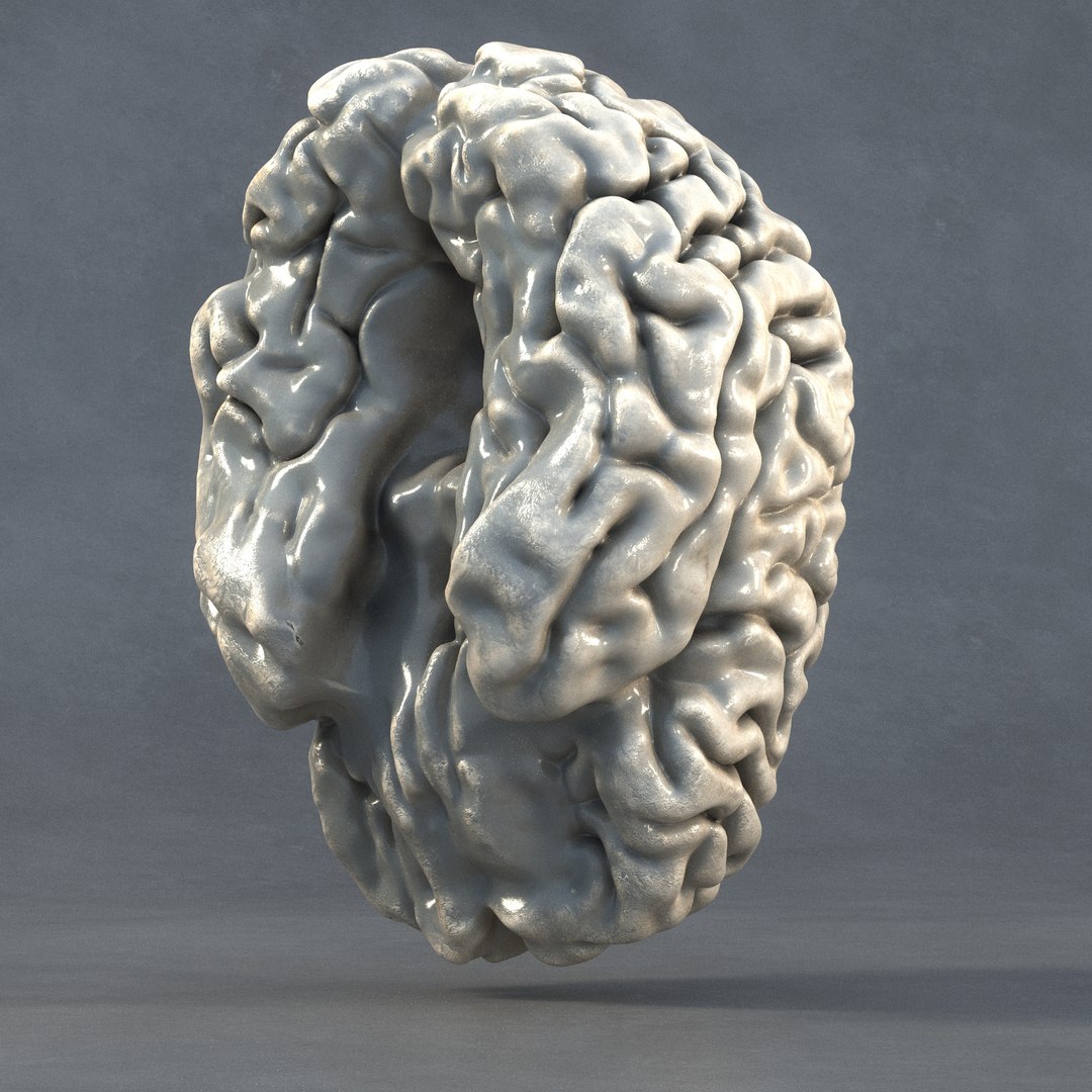 Brain Sculpture 3D Model - TurboSquid 2243724