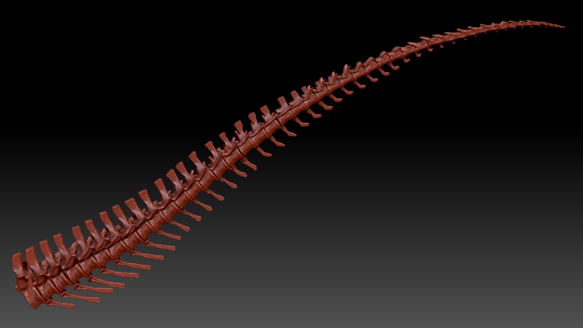 3D Model Giganotosaurus Tail Set Skeletons - TurboSquid 1695018