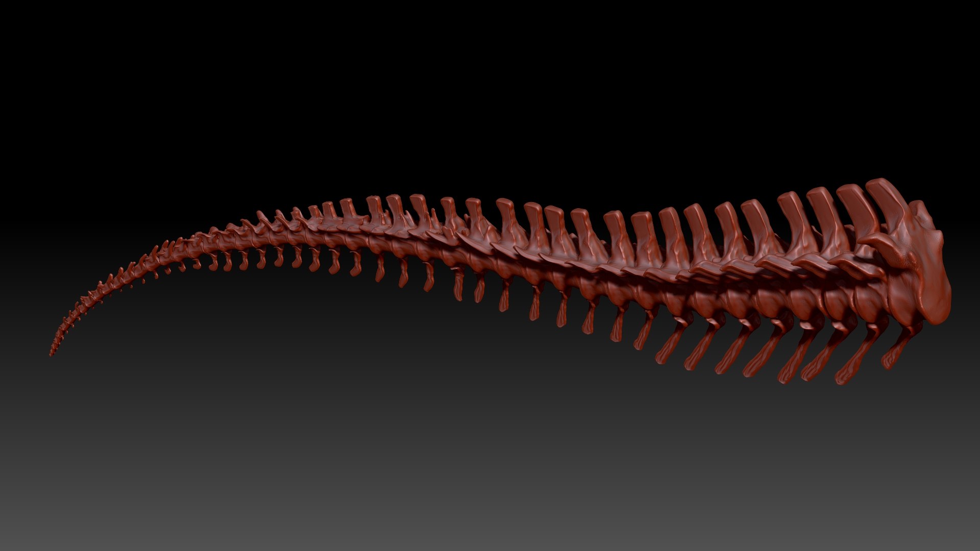 3D Model Giganotosaurus Tail Set Skeletons - TurboSquid 1695018