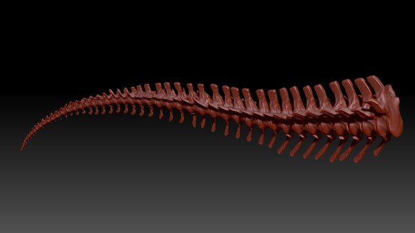 3D model giganotosaurus tail set skeletons - TurboSquid 1695018