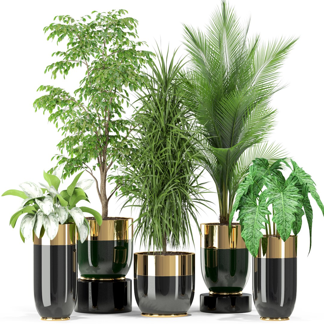 3D Plants 424 - TurboSquid 1657059