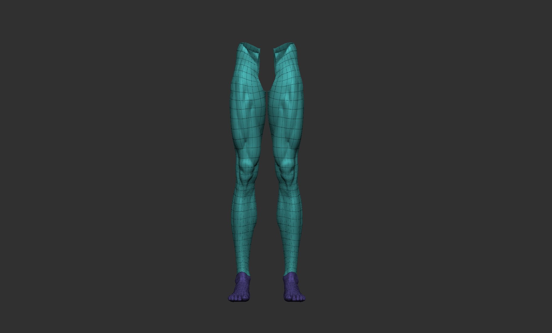 Legs 3D model - TurboSquid 1960994