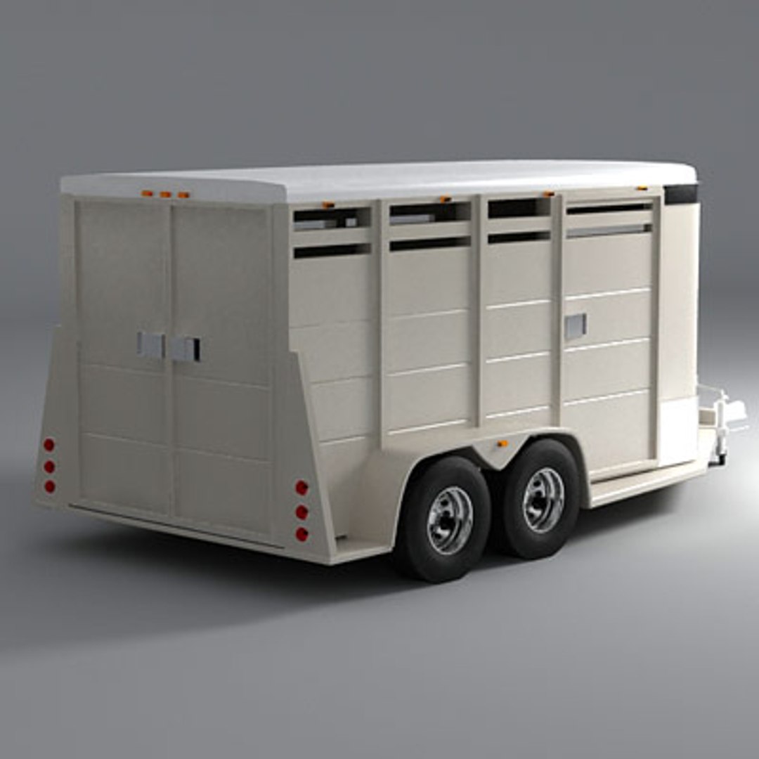 3d Stables Horse Riding