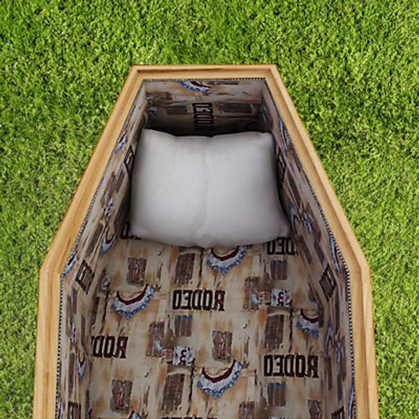 light wood coffin 3d model