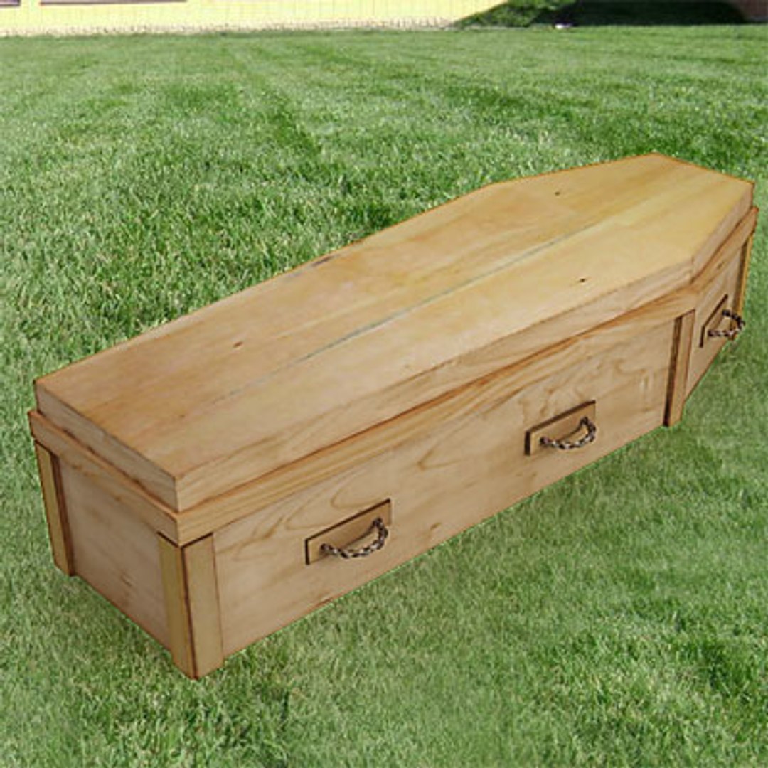 light wood coffin 3d model