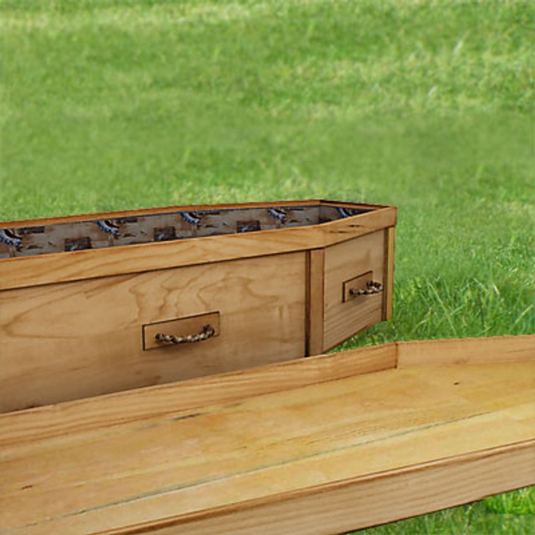 light wood coffin 3d model