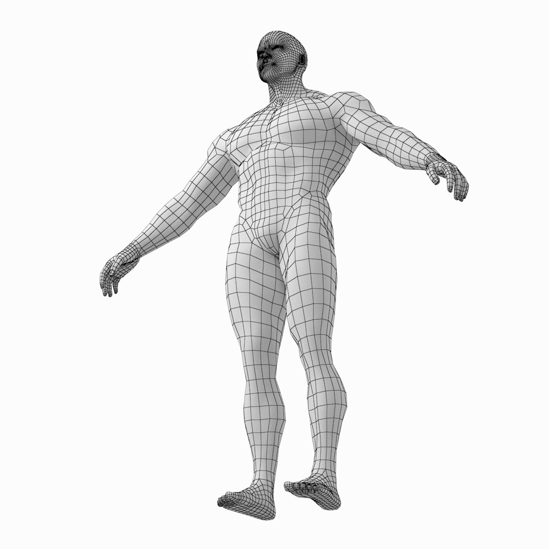 Human Male Bodybuilder Body 3D Model - TurboSquid 1456392