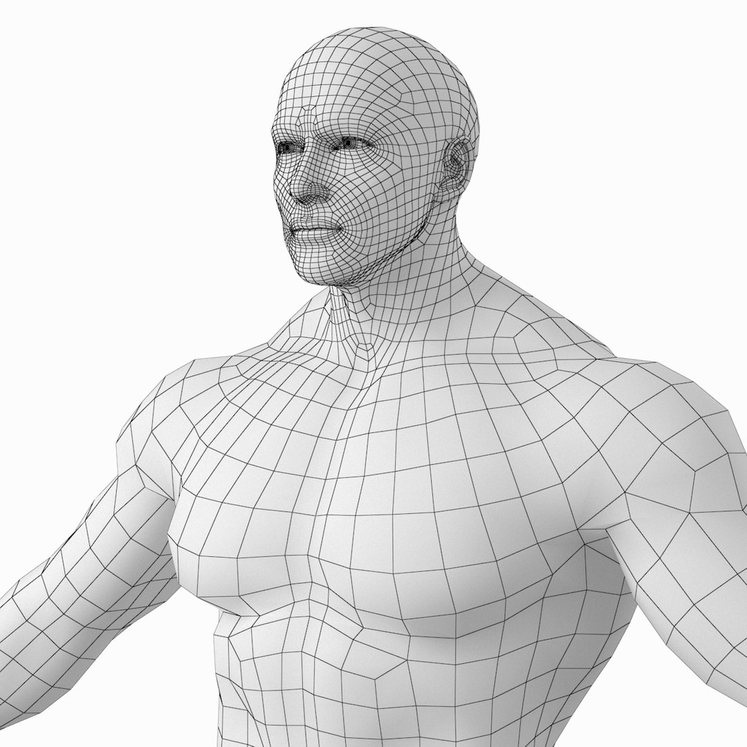 Human Male Bodybuilder Body 3D Model - TurboSquid 1456392