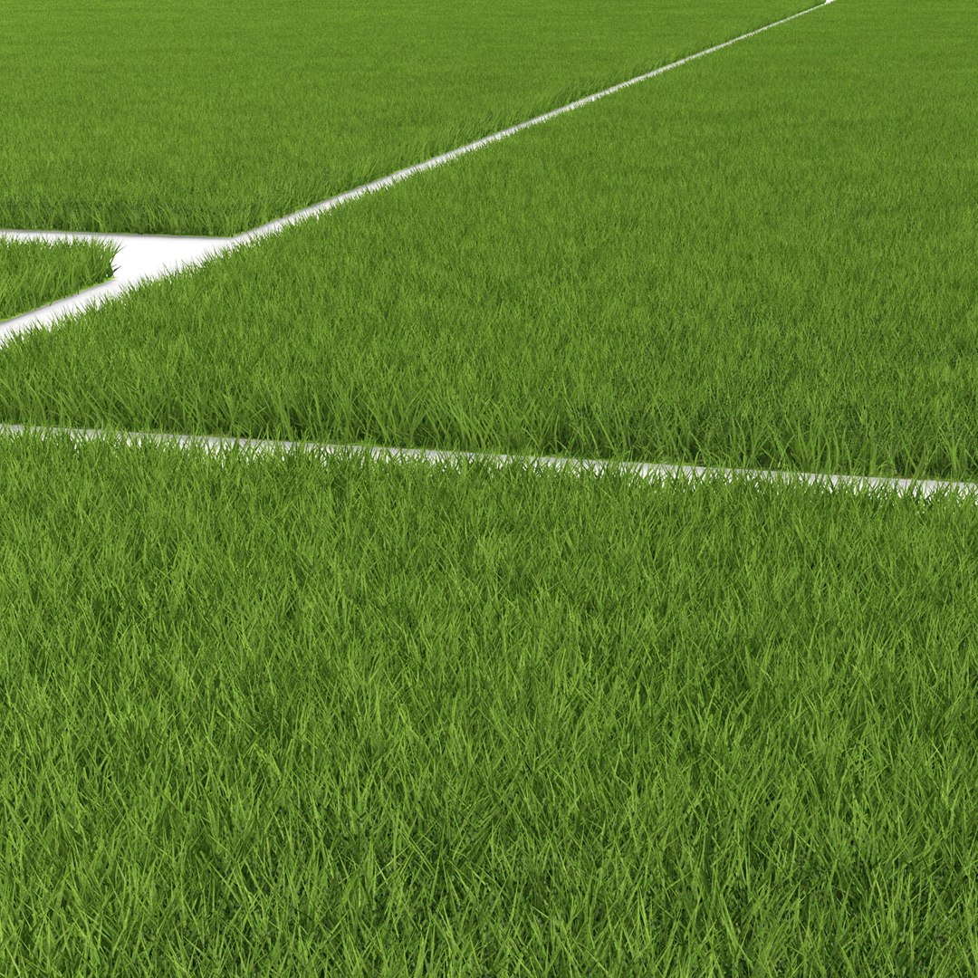 3d Fescue Grass Model