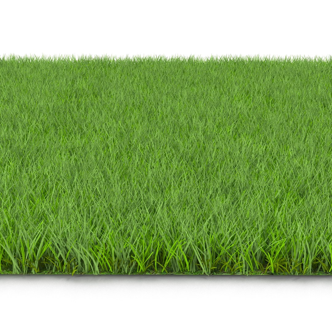 3d Fescue Grass Model