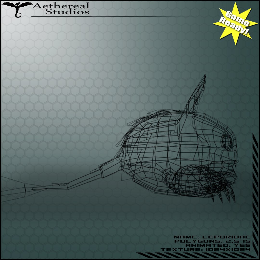 Leporidae Animations Creature 3d X