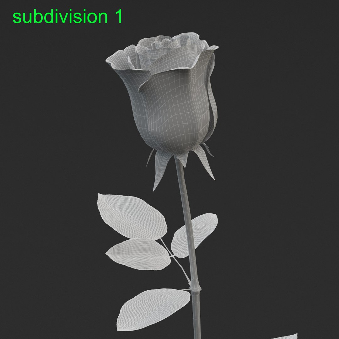 3d Model Of Rose Set