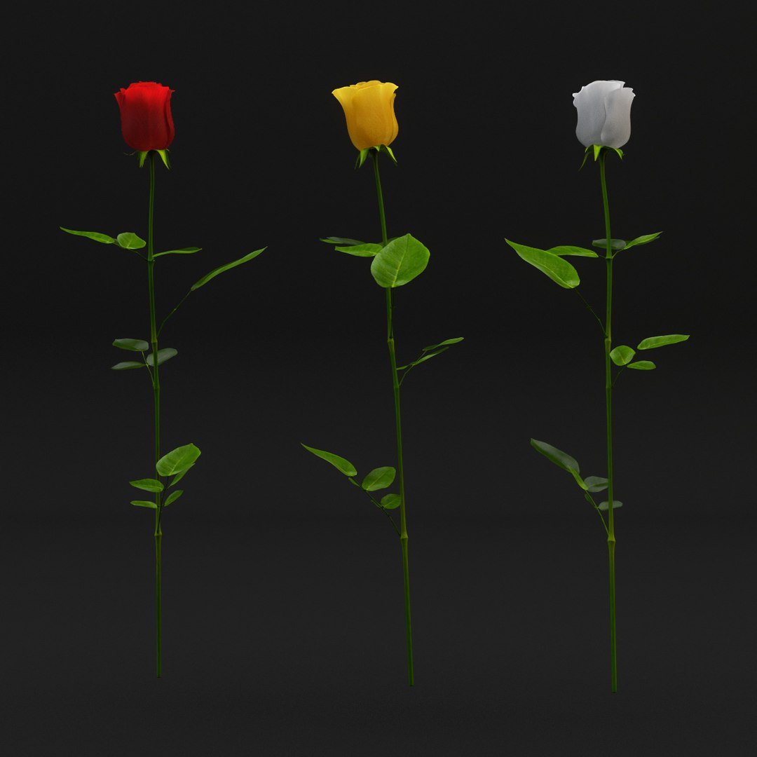 3d Model Of Rose Set