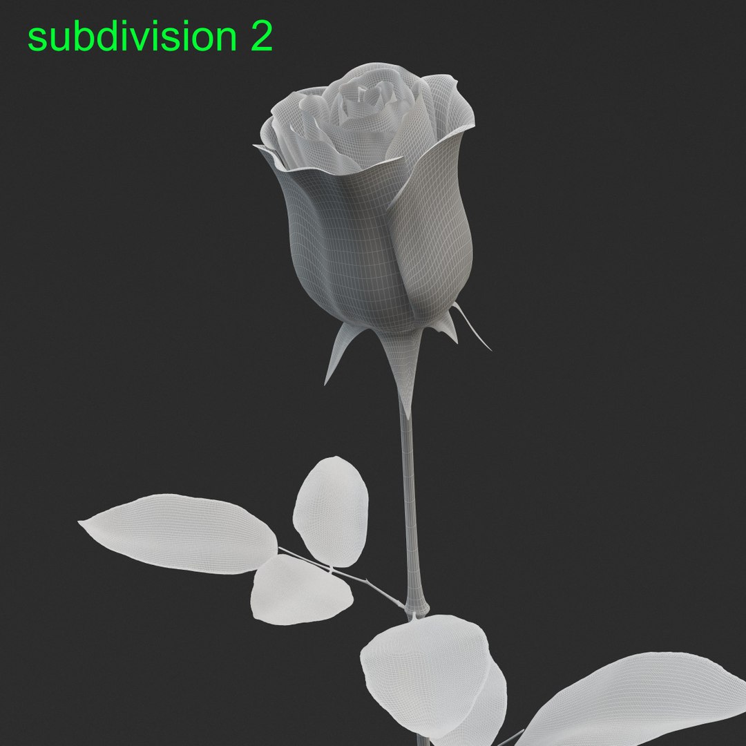3d Model Of Rose Set