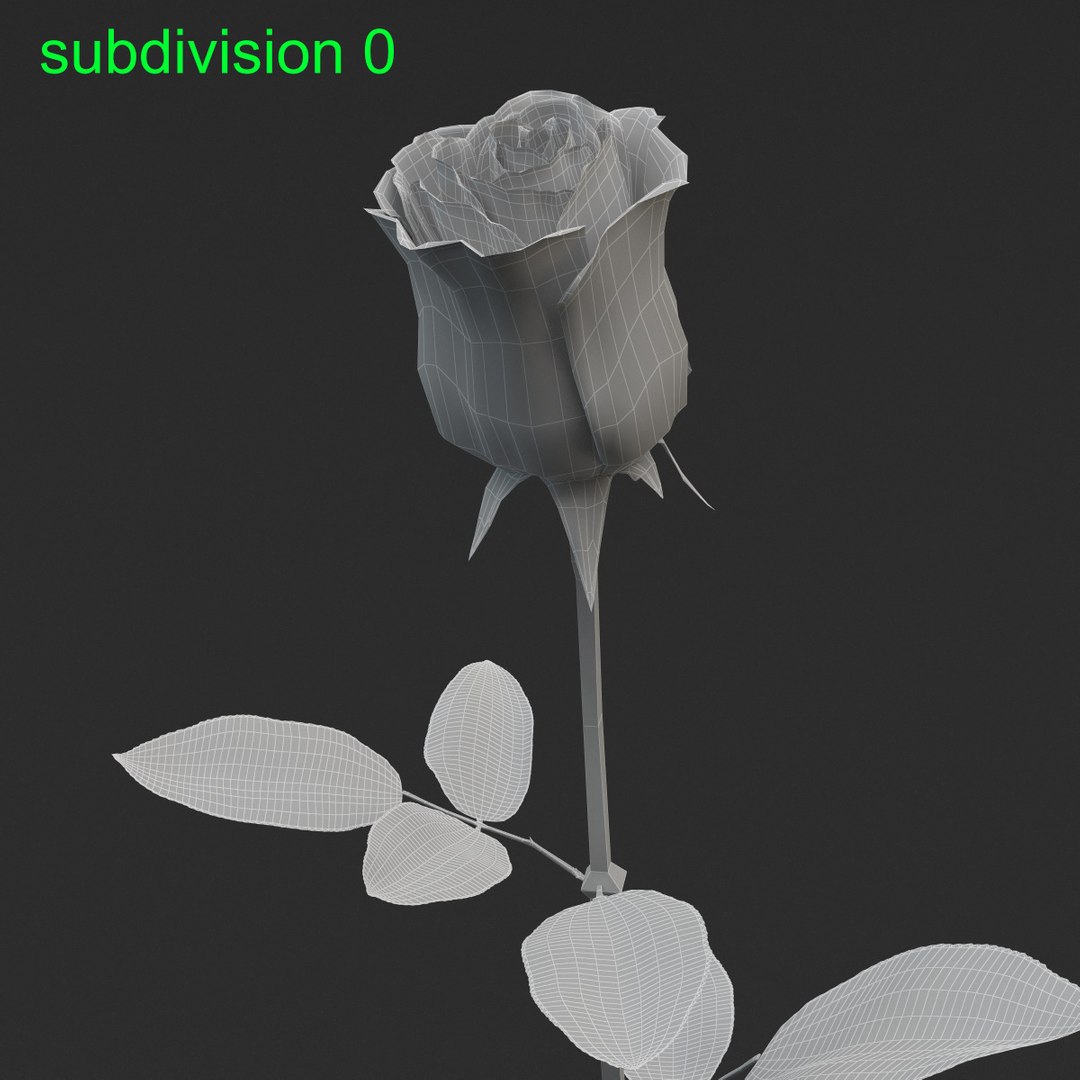 3d Model Of Rose Set