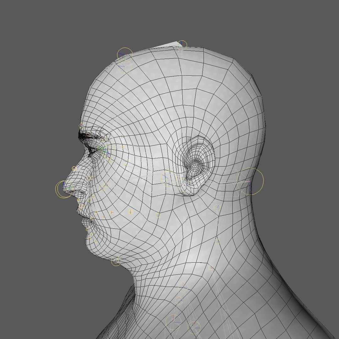 3d Model Realistic Base Mesh 45