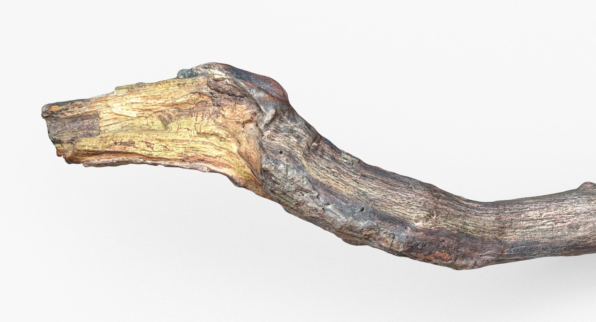 Fallen Branch 04 3D - TurboSquid 1867715