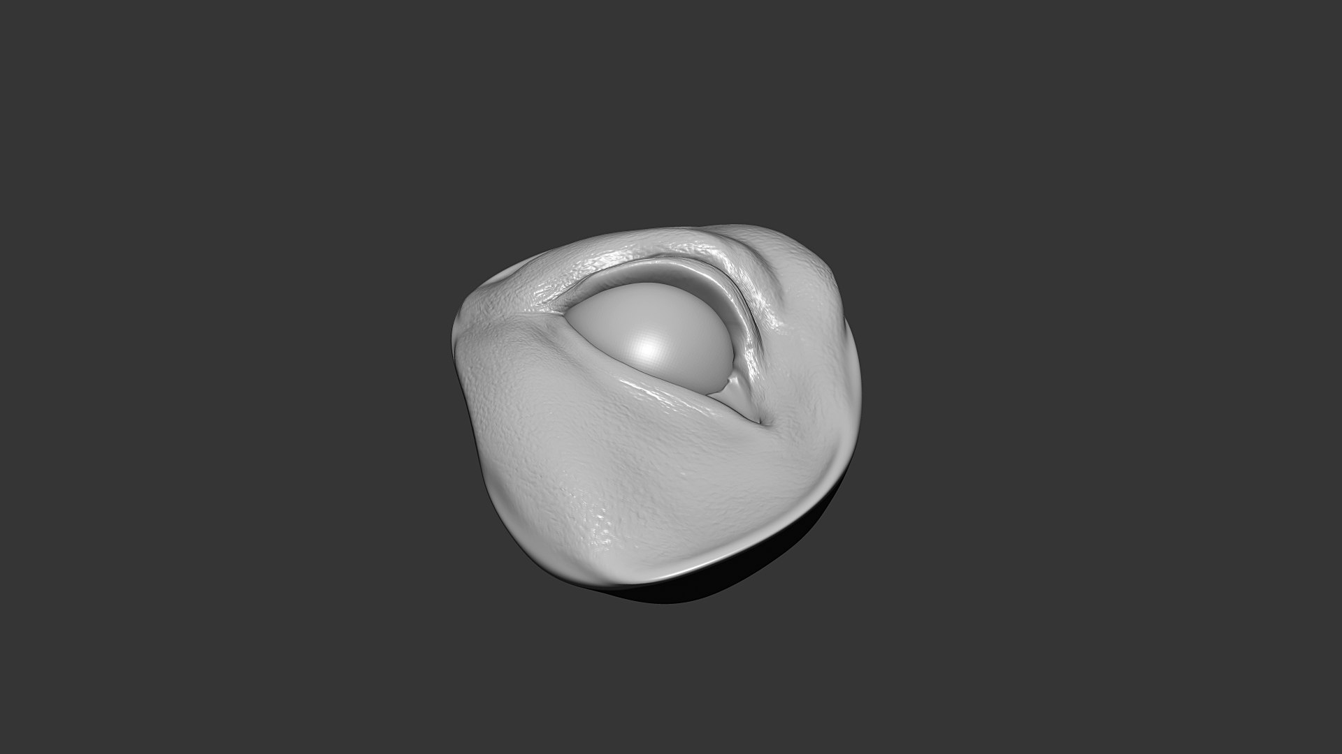 3D model Dog Eye Socket Highpoly Sculpt - TurboSquid 1807847