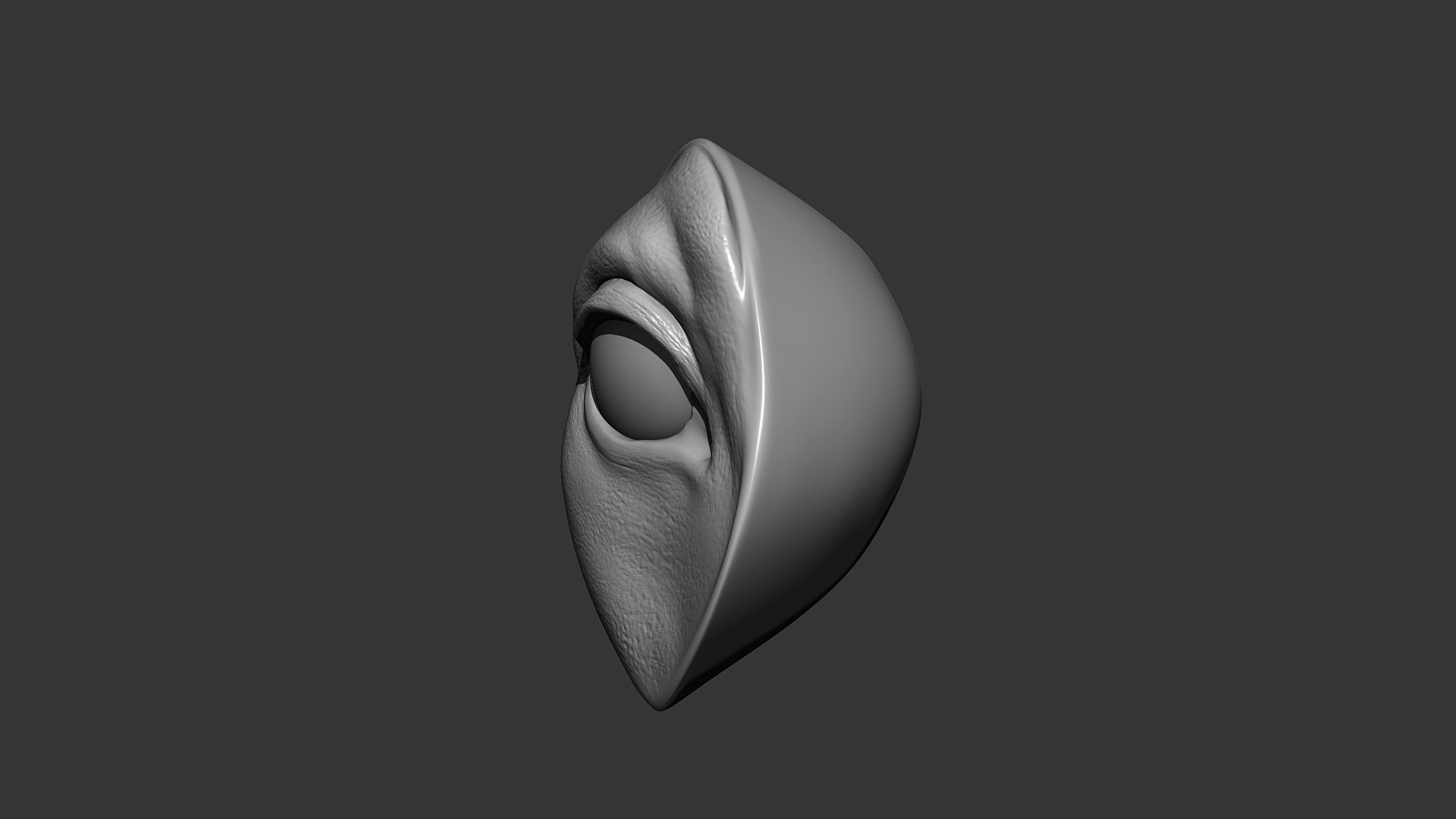 3D model Dog Eye Socket Highpoly Sculpt - TurboSquid 1807847