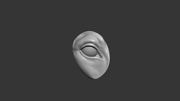 3D model Dog Eye Socket Highpoly Sculpt - TurboSquid 1807847