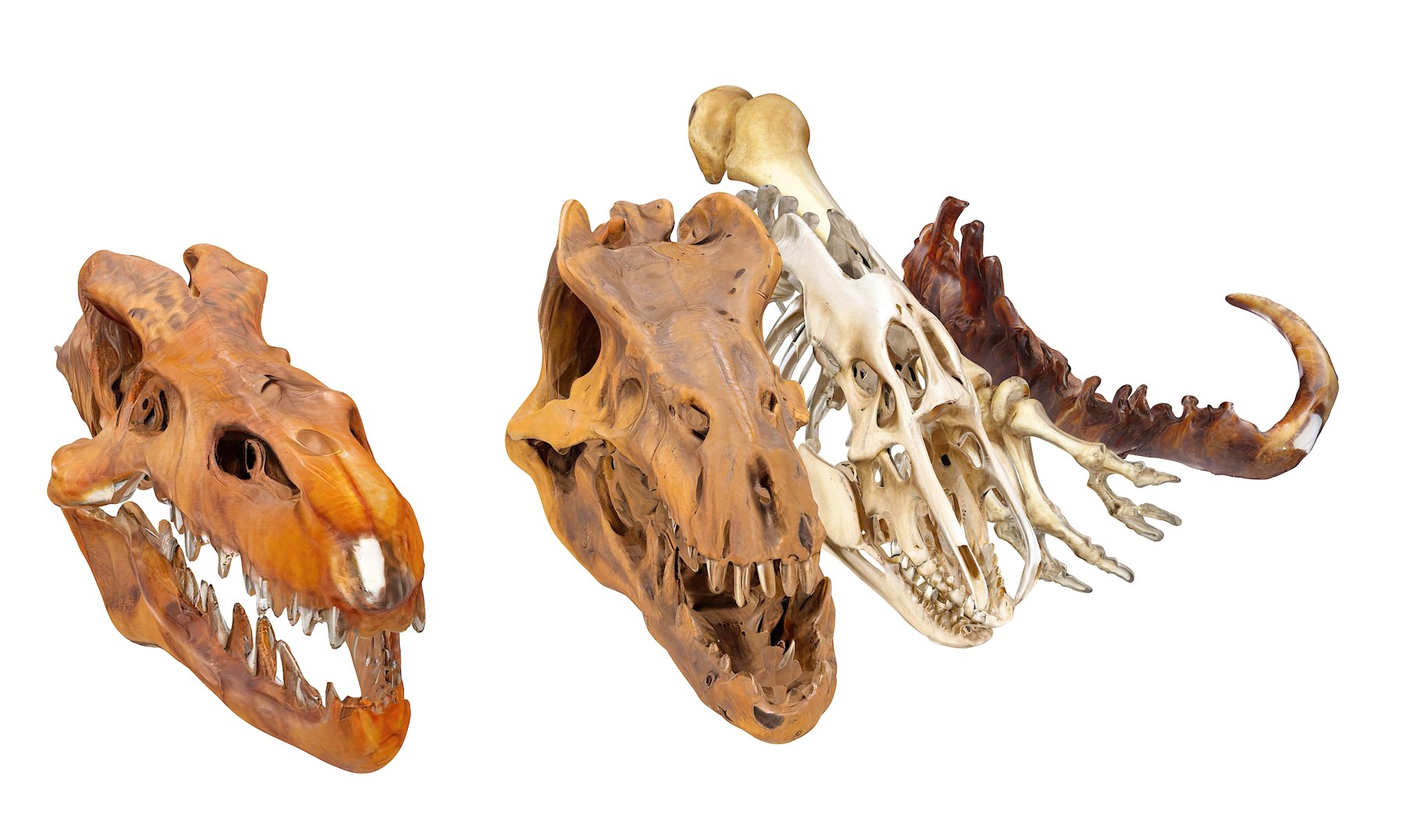 3D Prehistoric Dinosaurs Bones - TurboSquid 2298080