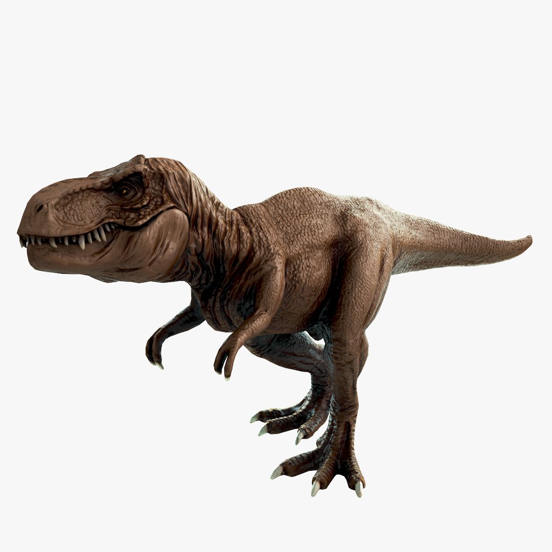 3d t-rex rex model