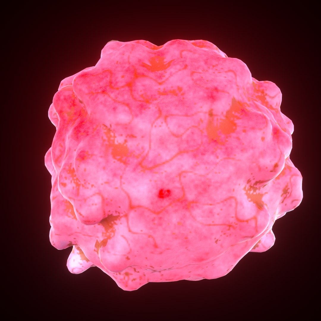 3D T Lymphocytes Model - TurboSquid 1388120