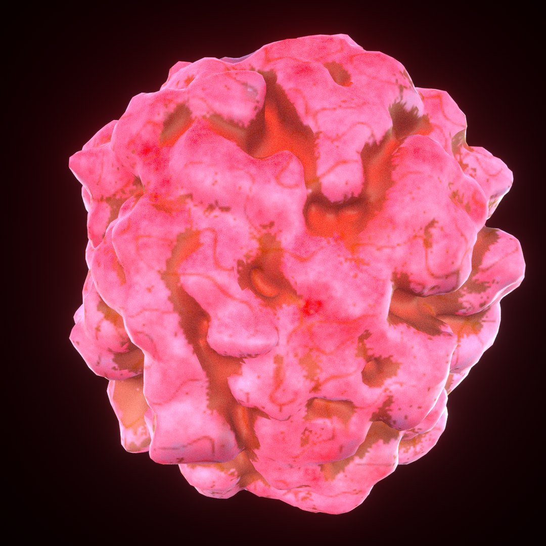 3D T Lymphocytes Model - TurboSquid 1388120