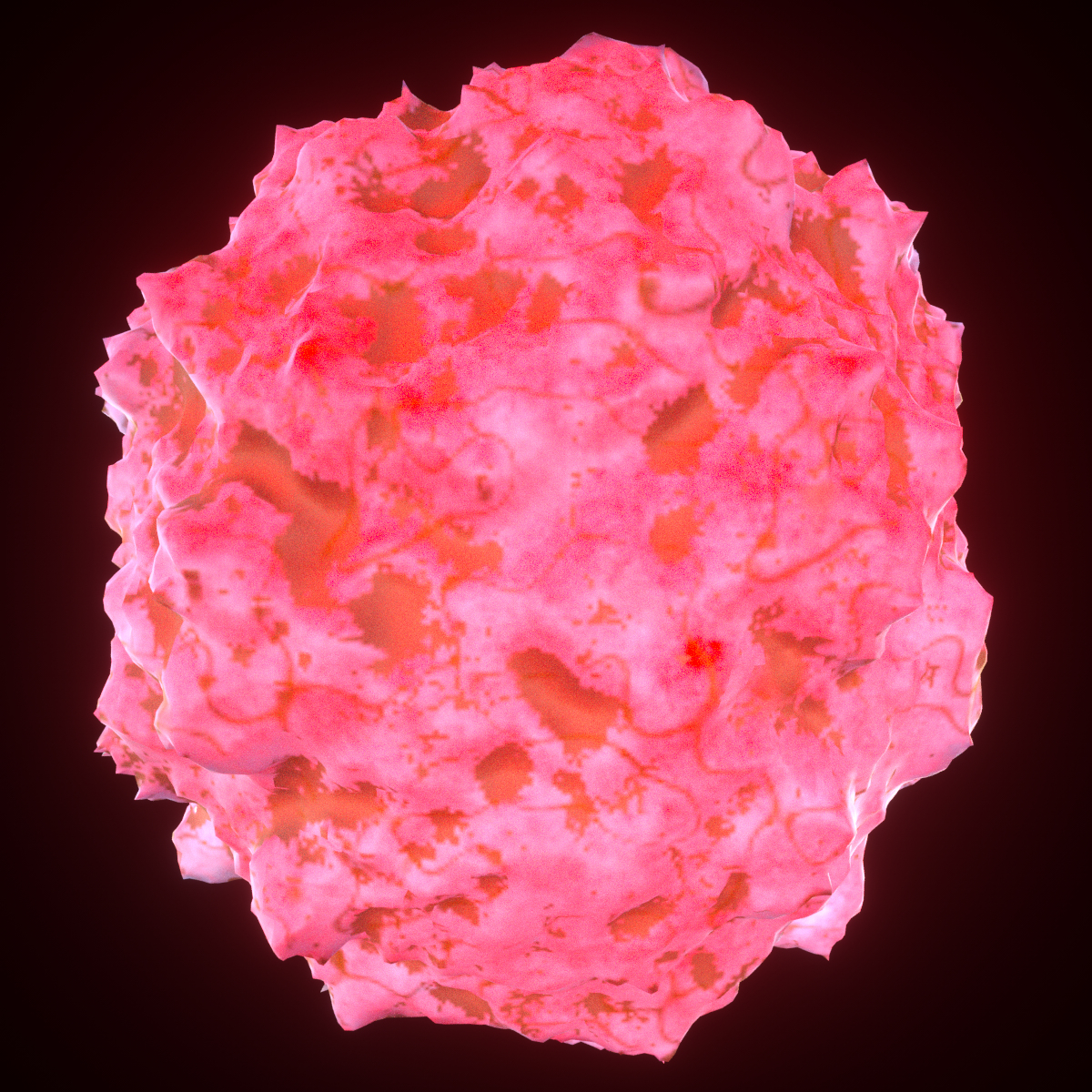 3D t lymphocytes model - TurboSquid 1388120