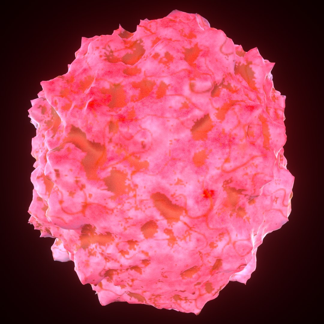 3D T Lymphocytes Model - TurboSquid 1388120