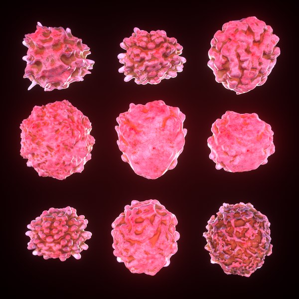 Lymphocyte 3D Models for Download | TurboSquid