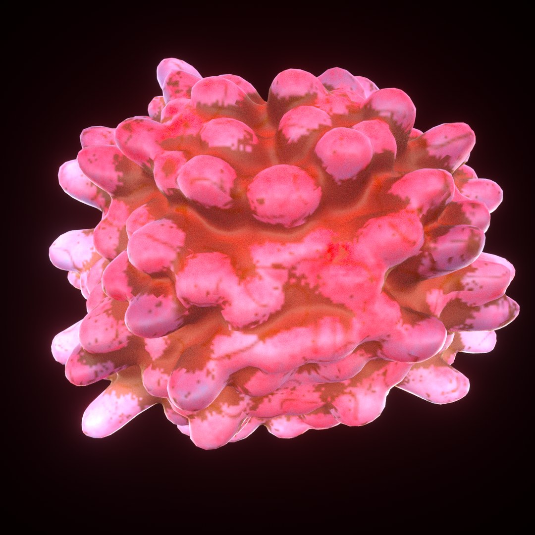 3D T Lymphocytes Model - TurboSquid 1388120