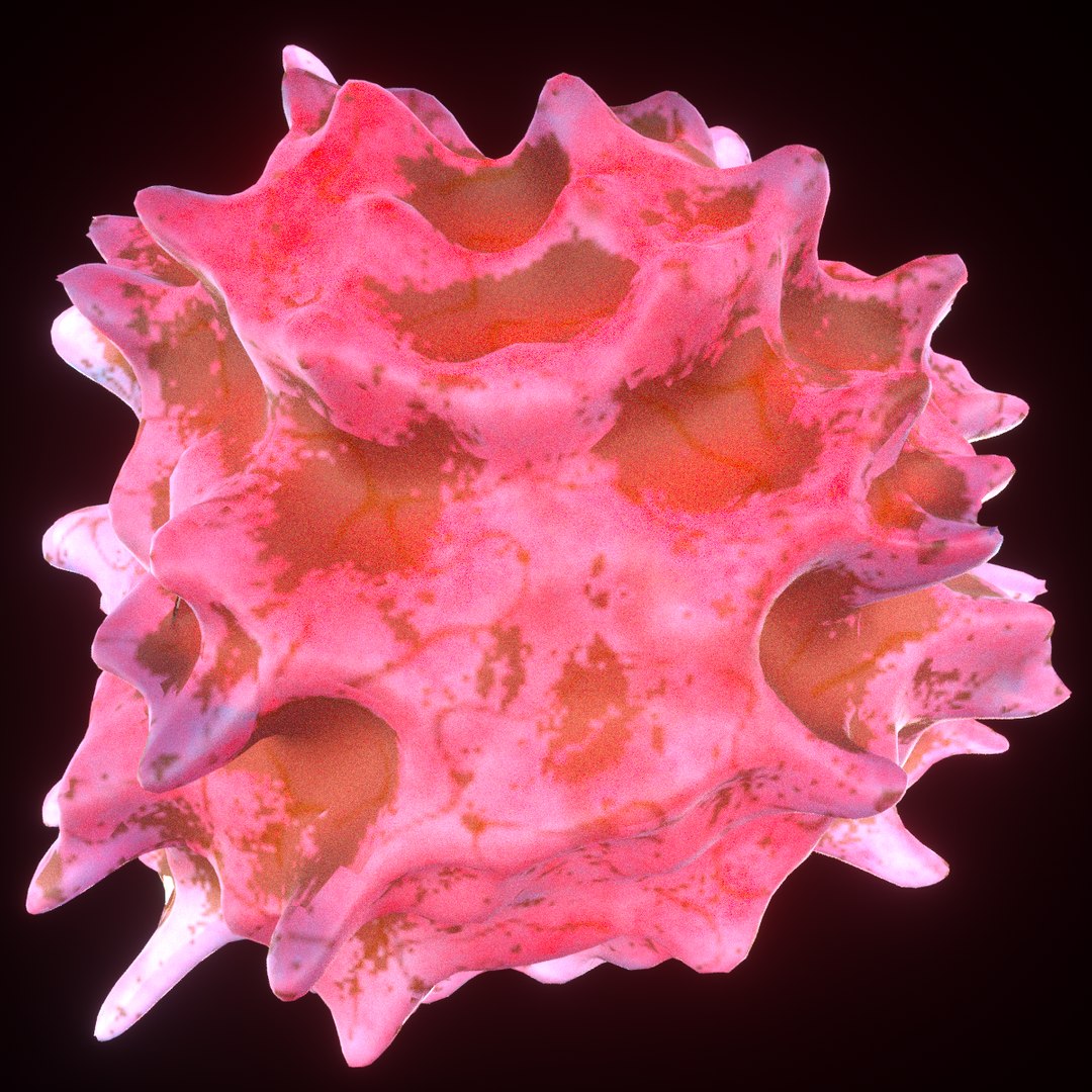 3D T Lymphocytes Model - TurboSquid 1388120