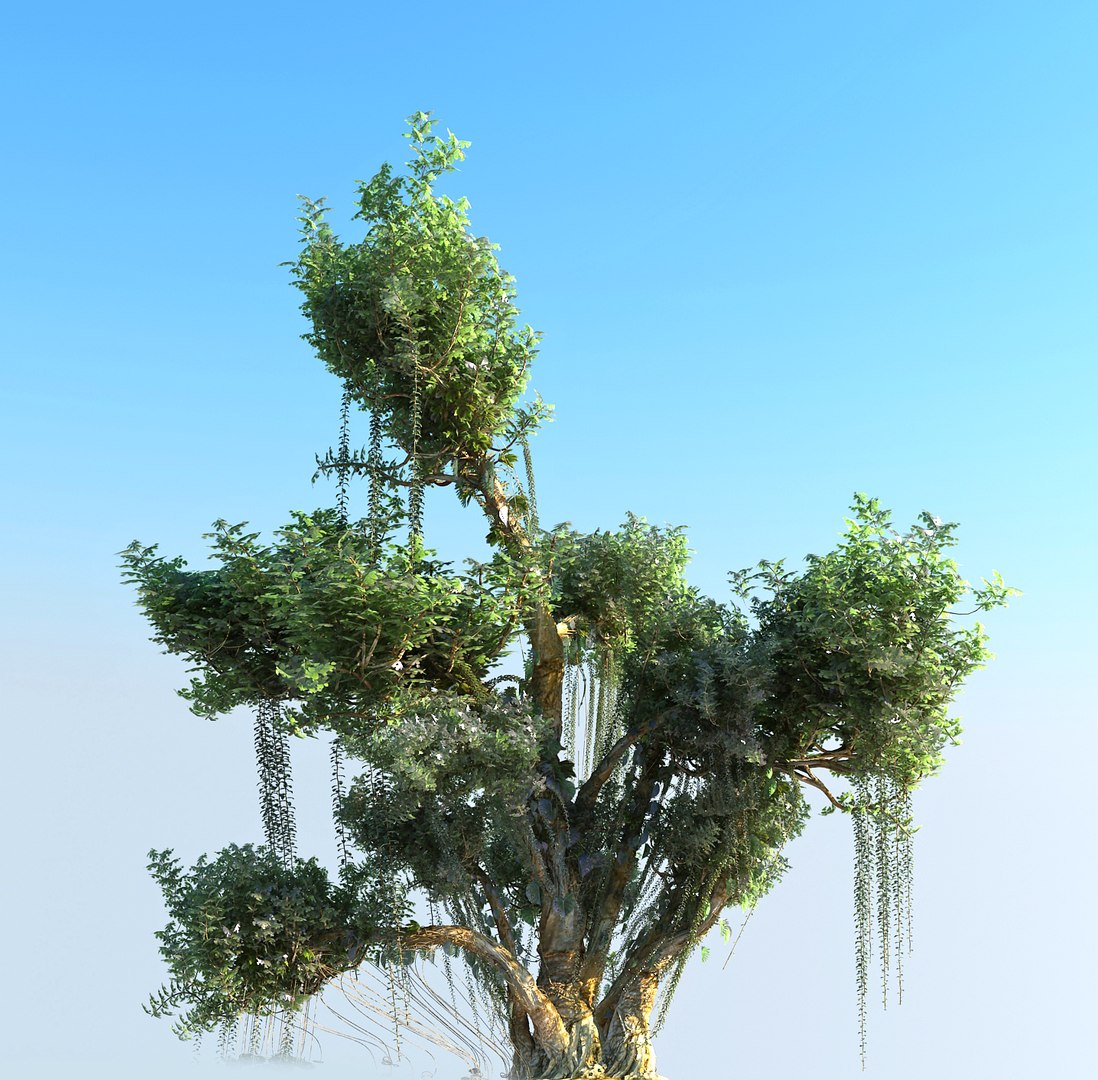 3d Tree Life Ultra Hd