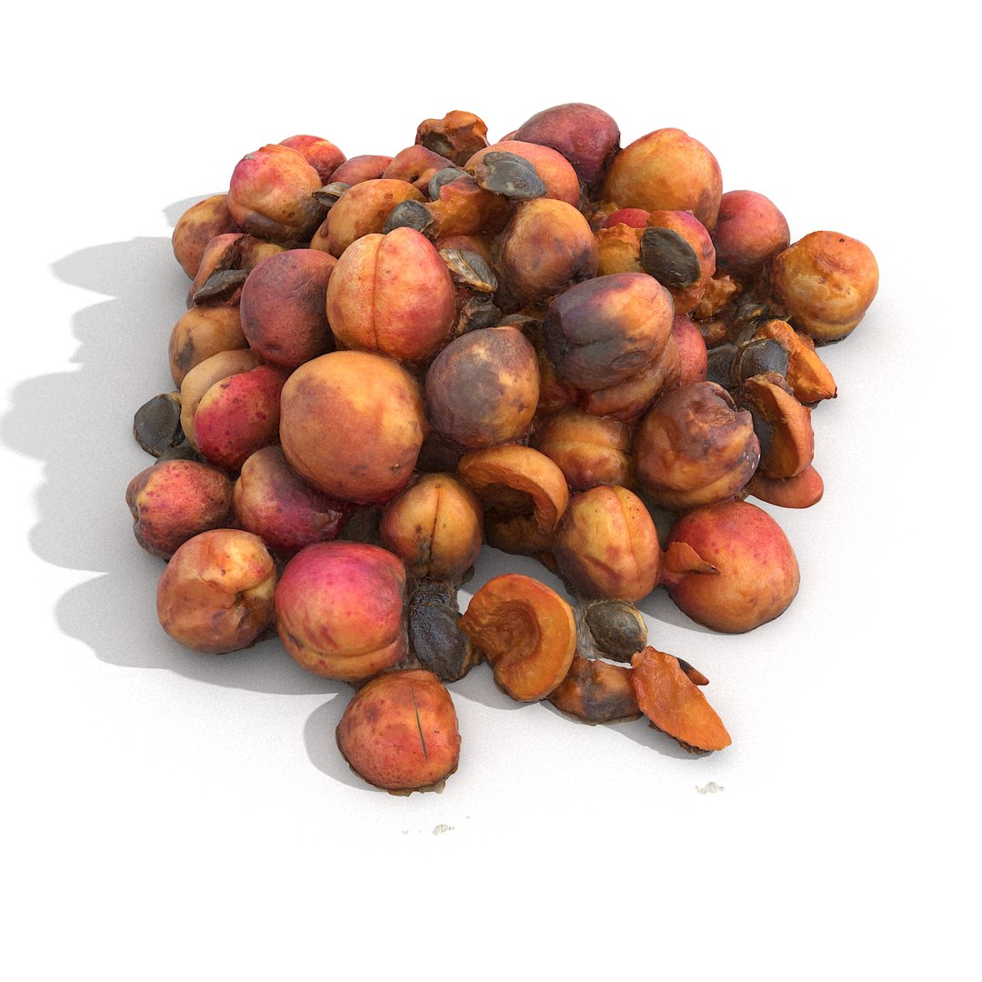 Rotten apricots 3D model - TurboSquid 1165554