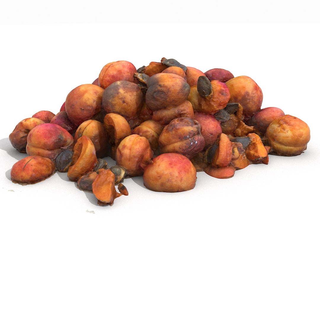 Rotten apricots 3D model - TurboSquid 1165554