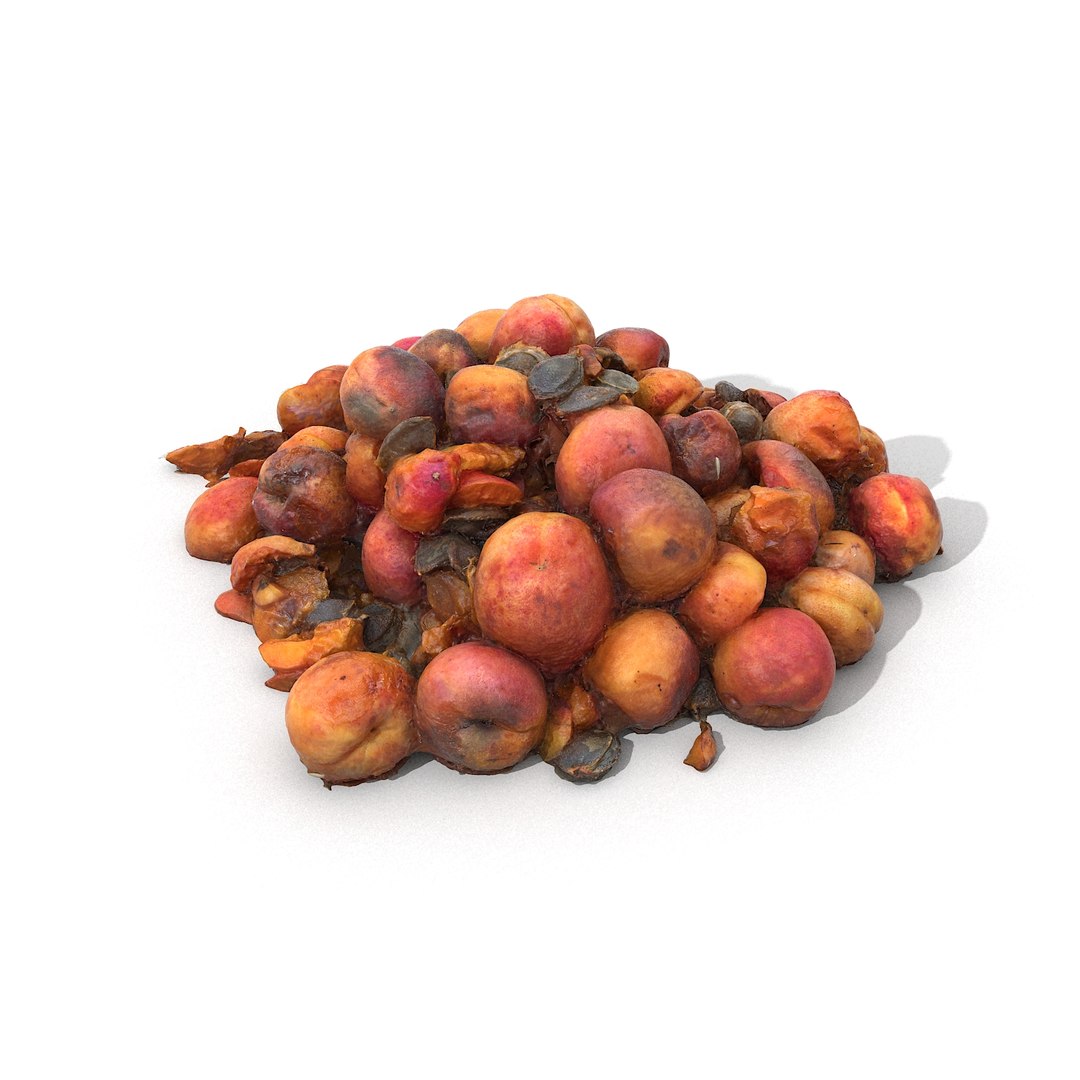 Rotten apricots 3D model - TurboSquid 1165554